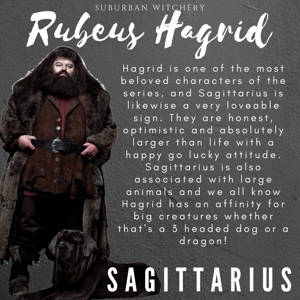 The 12 Zodiac Signs As Harry Potter Characters — Suburban Witchery