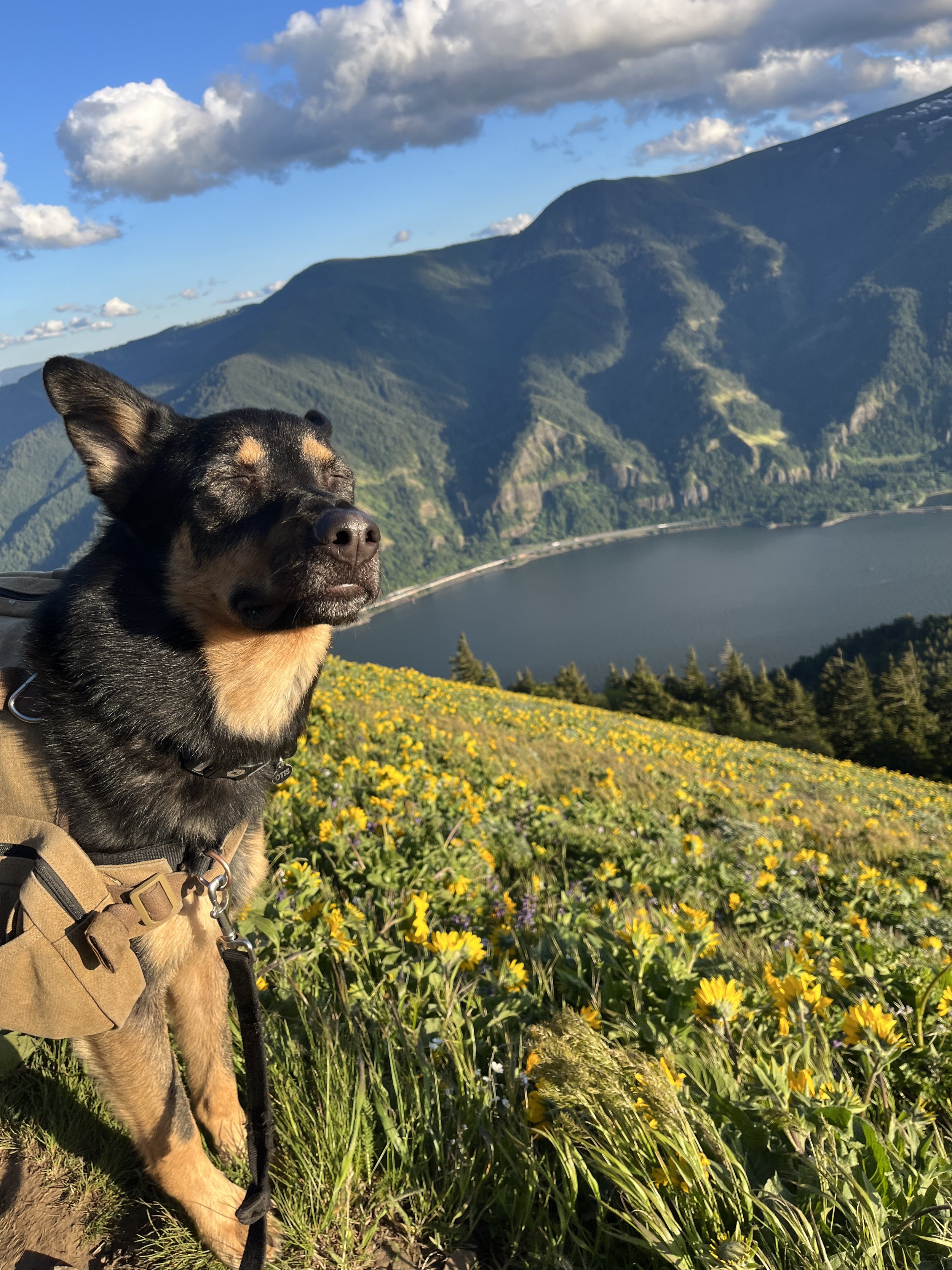 Your Account — Em/Body Physical Therapy & Health