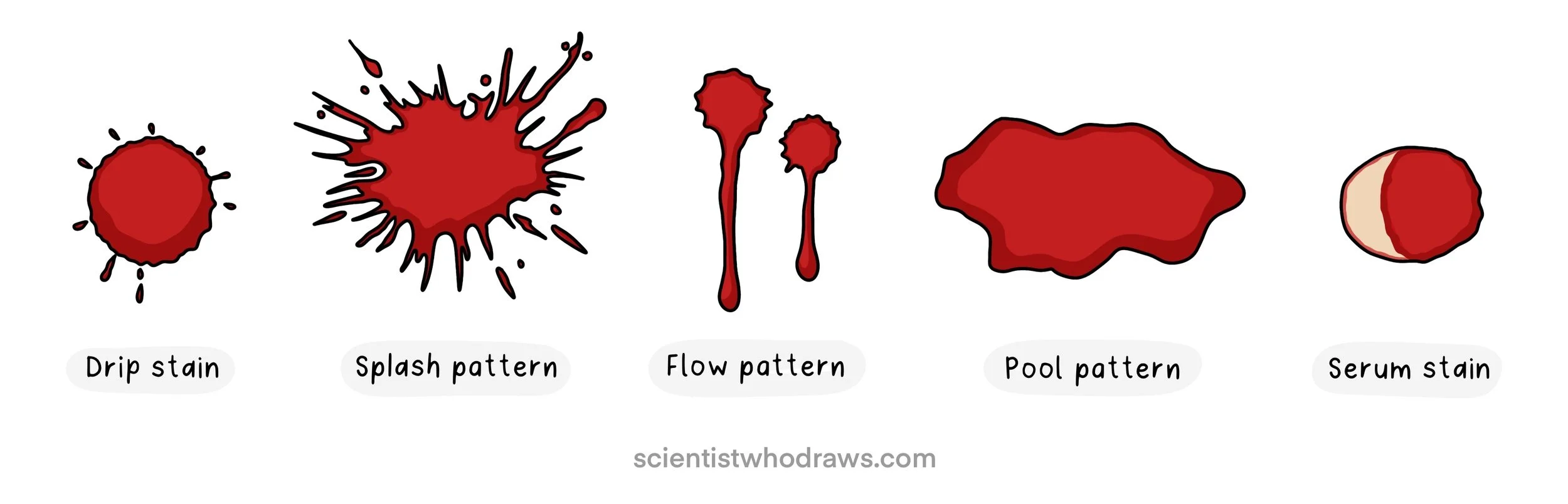 Types of Blood Spatter Stains — Scientist who draws