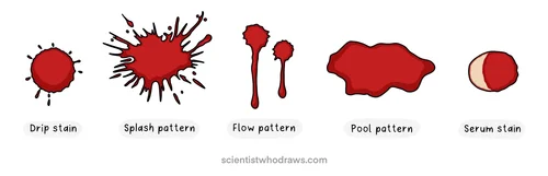 Types of Blood Spatter Stains — Scientist who draws