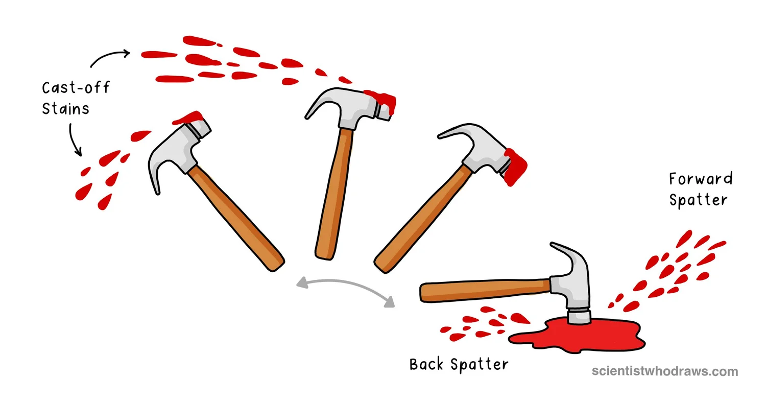 Types of Blood Spatter Stains — Scientist who draws