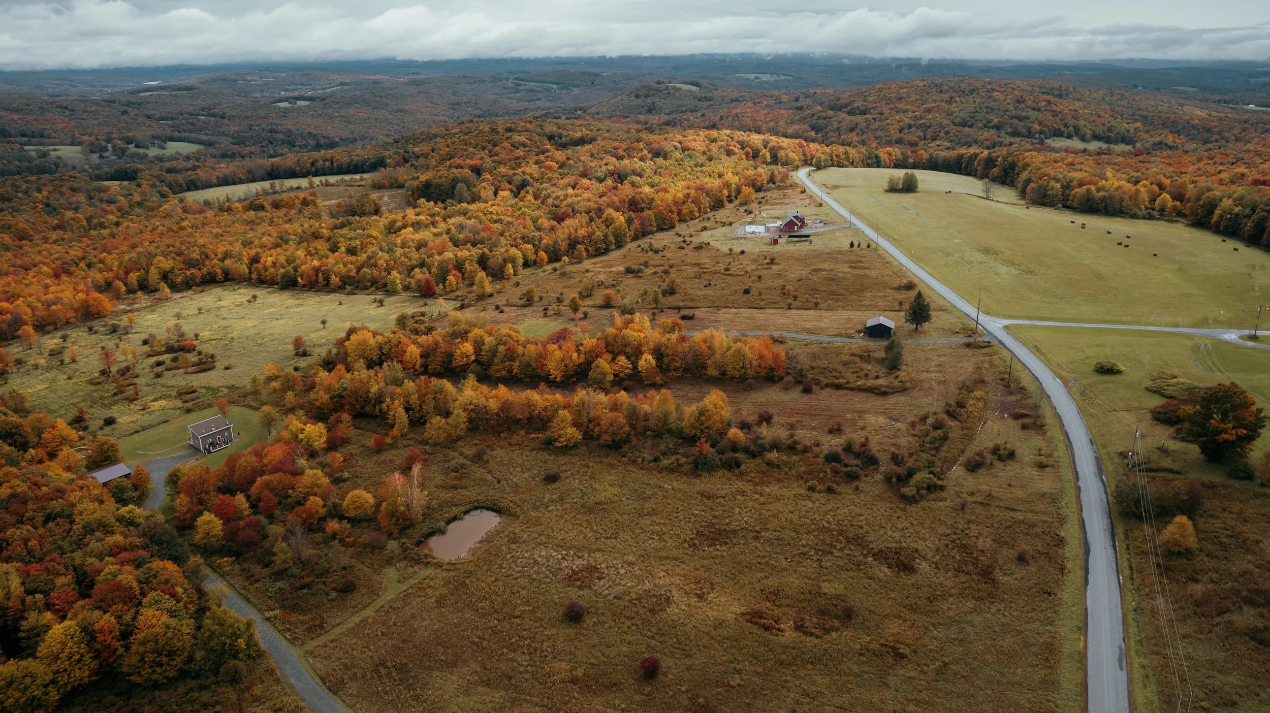 Deer Recovery — DeMASTER DRONES