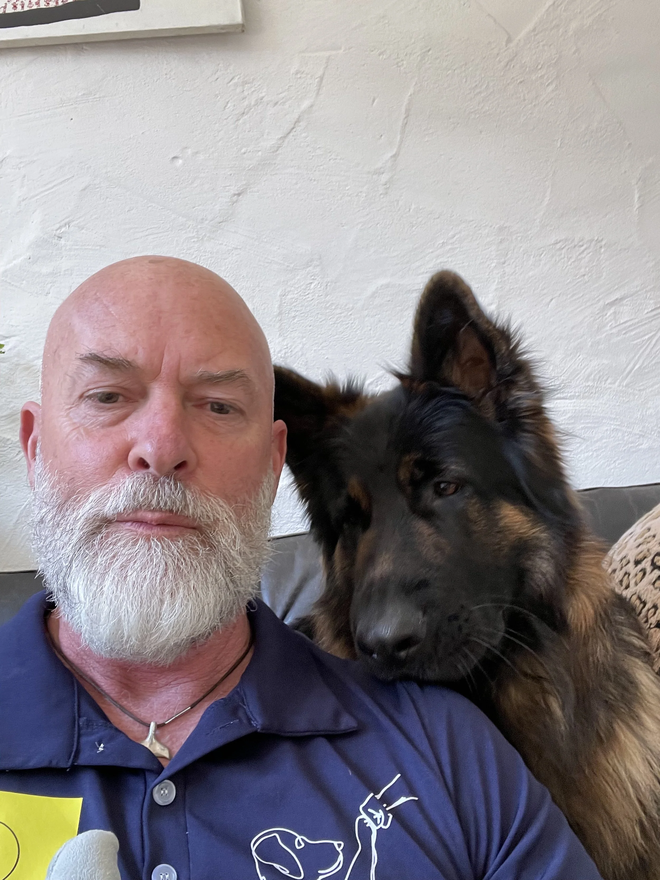 Dog Trainer & Behaviourist Melbourne