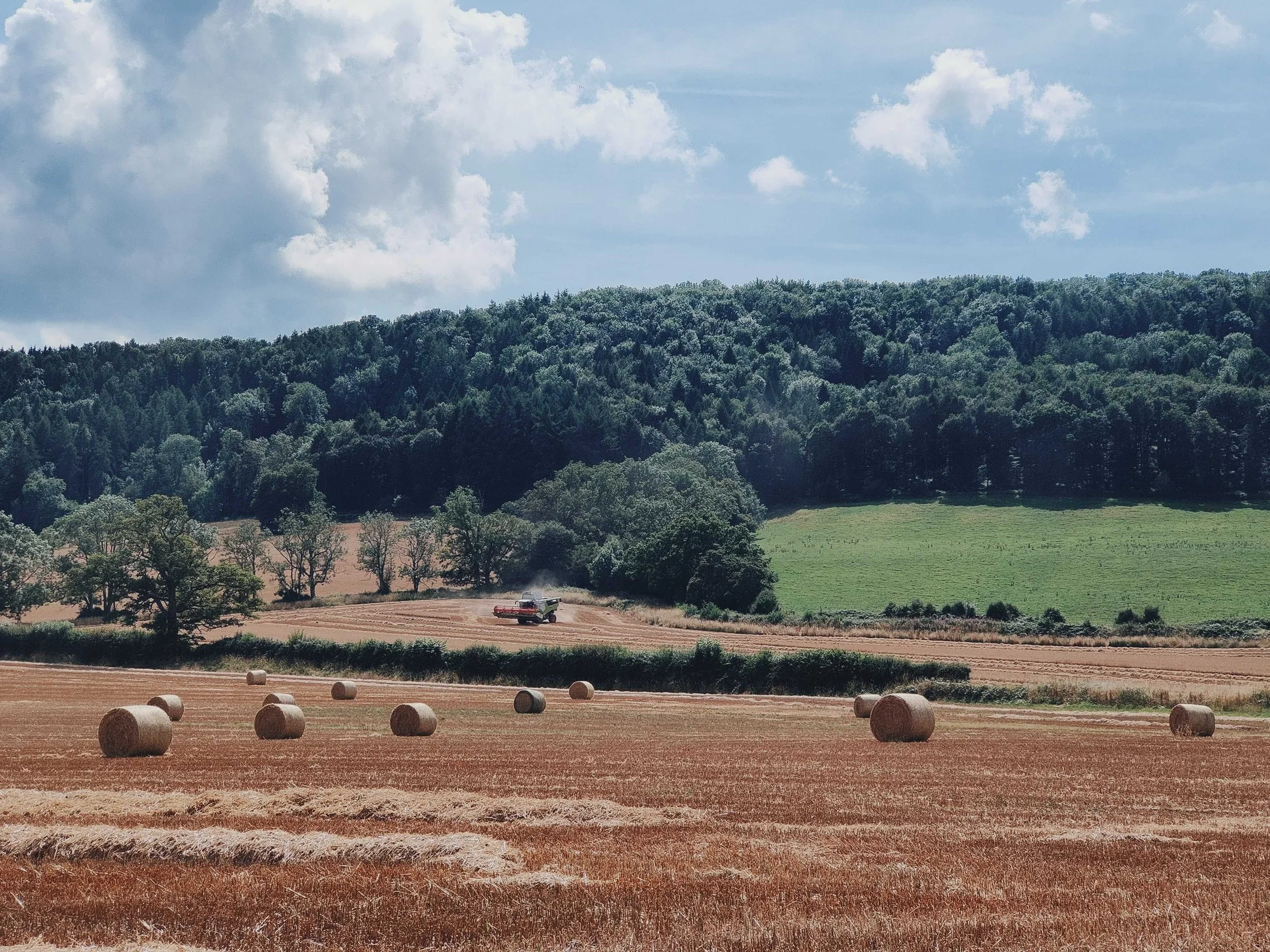 The Farm — Bad Harvest Barn