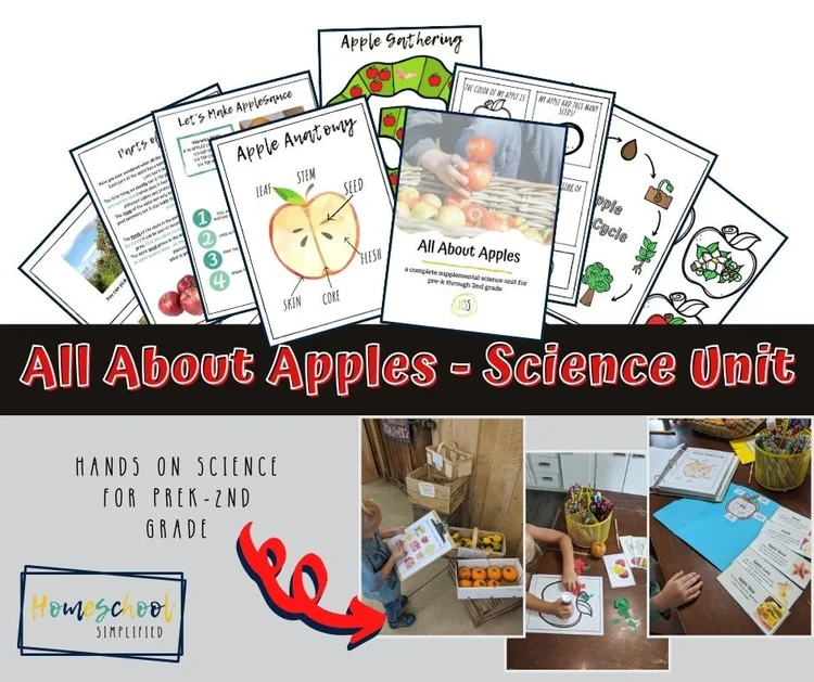 Acorn Activity Pack — Wonder. Learning. Living