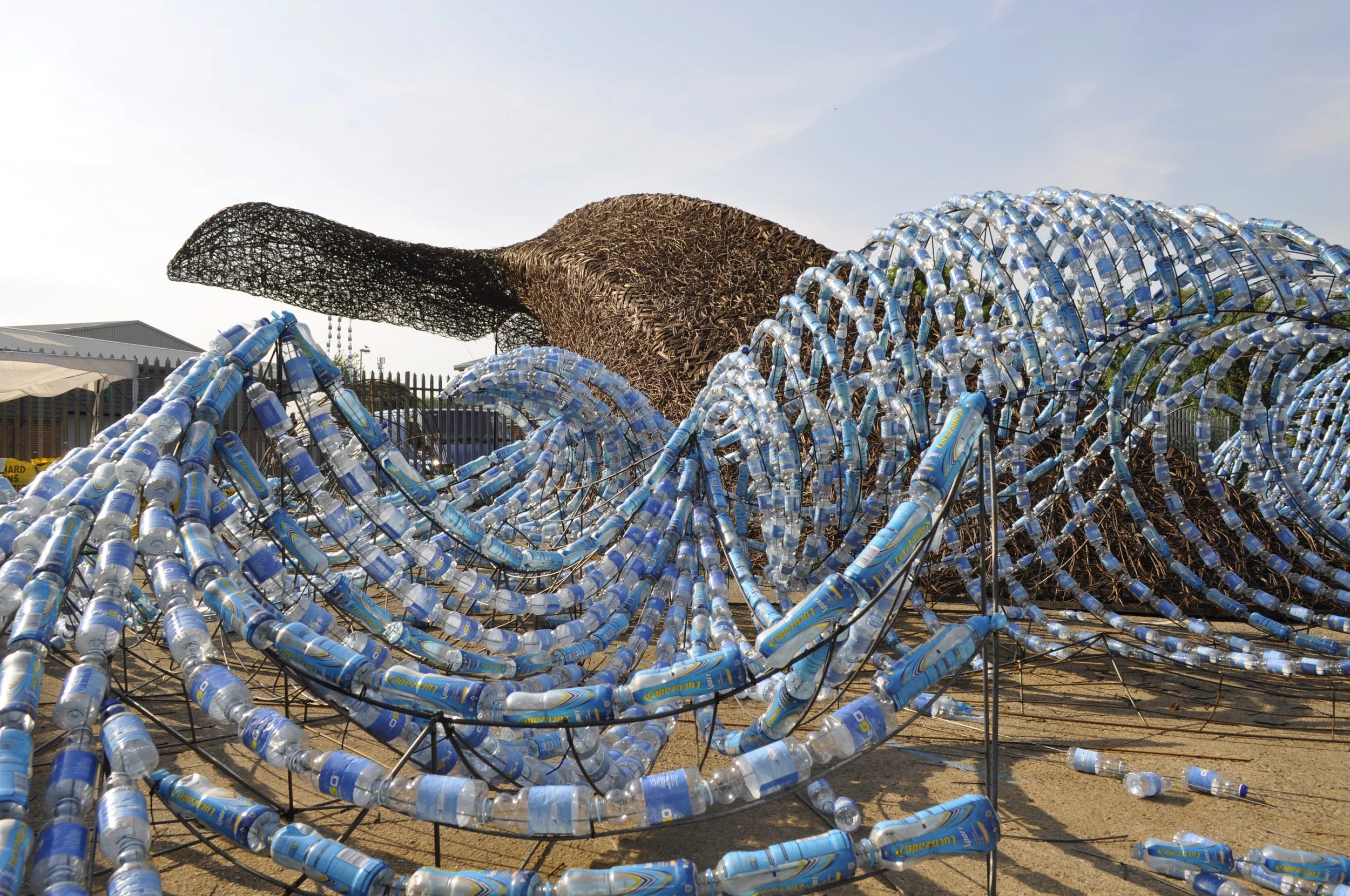 The Bristol Whales - ARTS COUNCIL ENGLAND — Cod Steaks