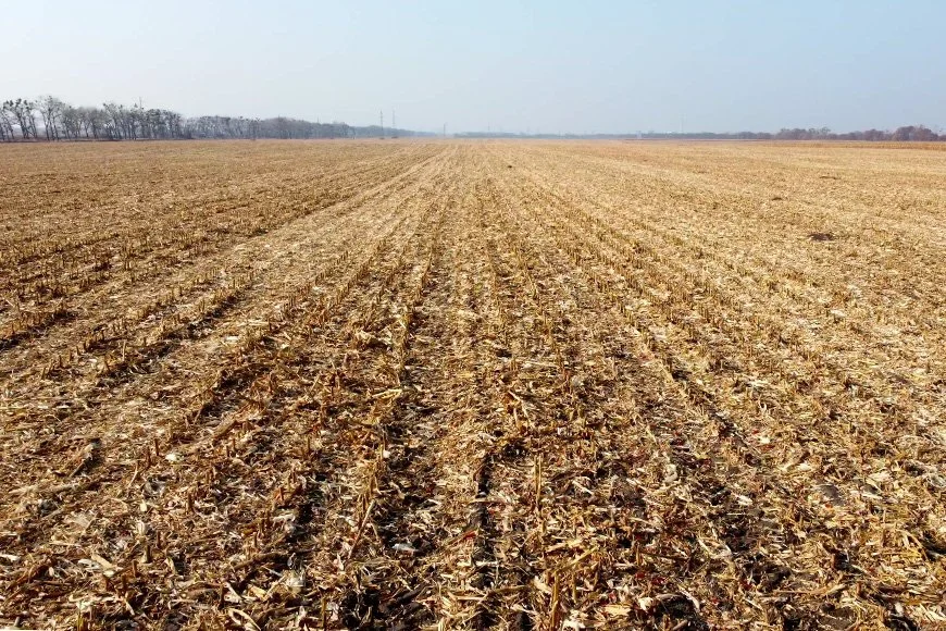 No-Till vs. Reduced Till: What's the Real Difference for Yields, Fuel ...