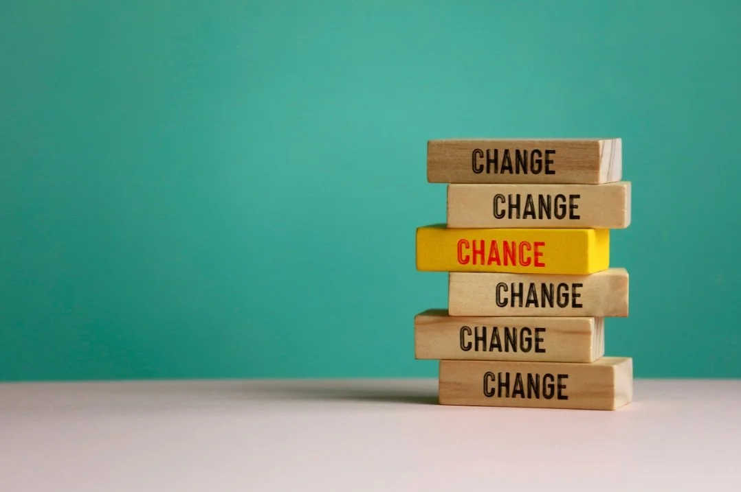 Embedding Change Management Capability in Your Organization: Practical ...