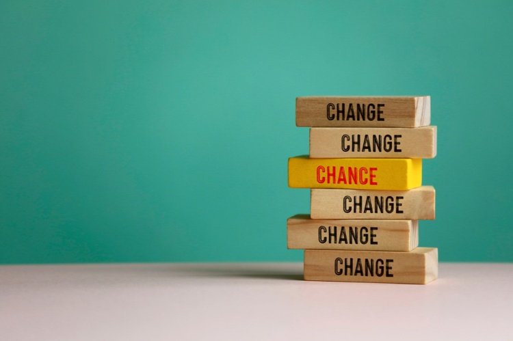 Embedding Change Management Capability in Your Organization: Practical ...