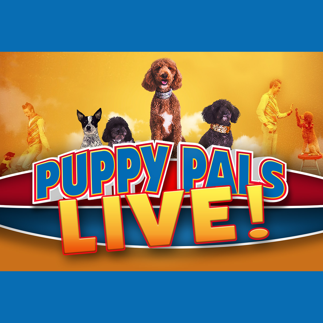 Events — Cohoes Music Hall