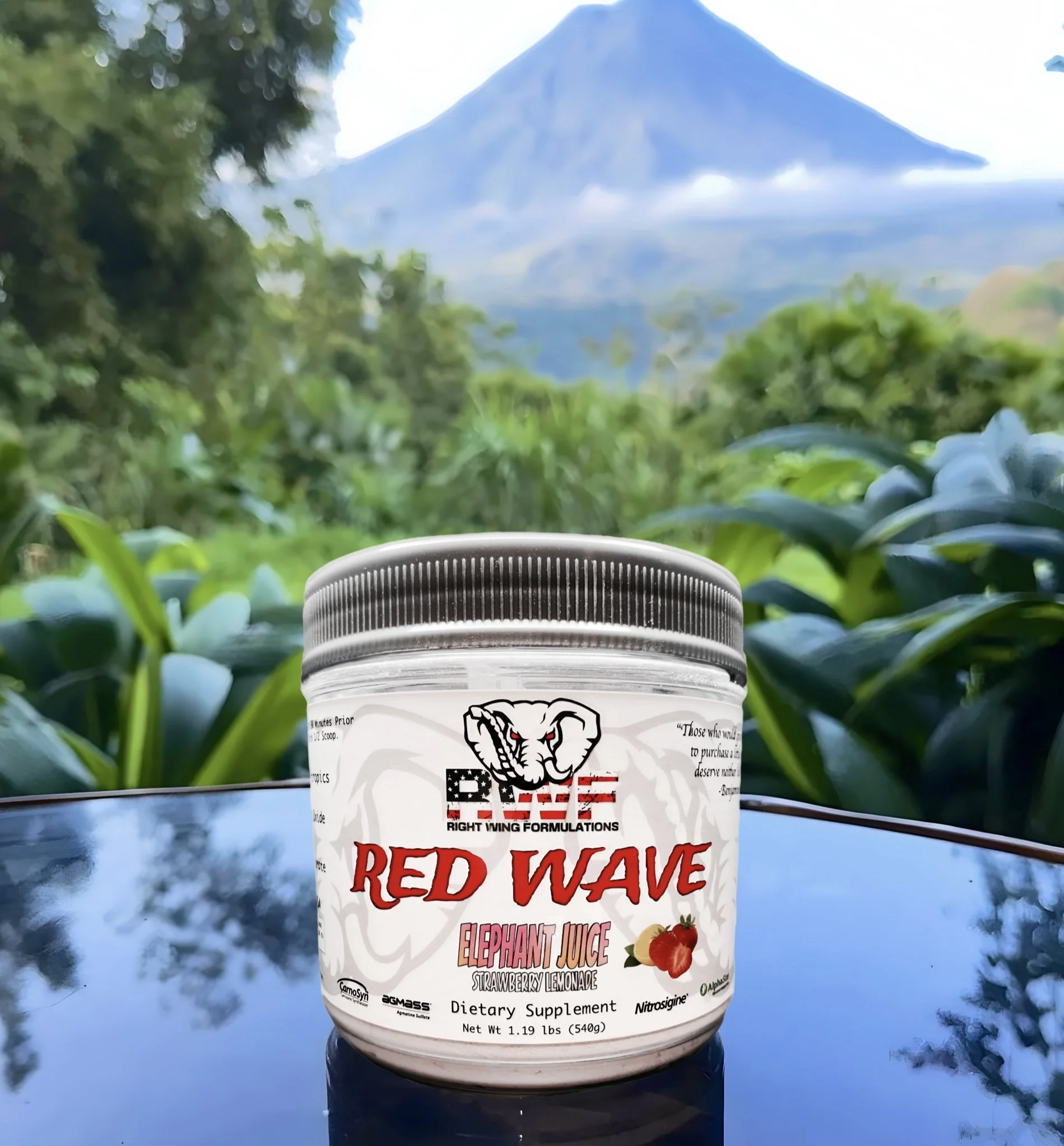 Right Wing Formulations