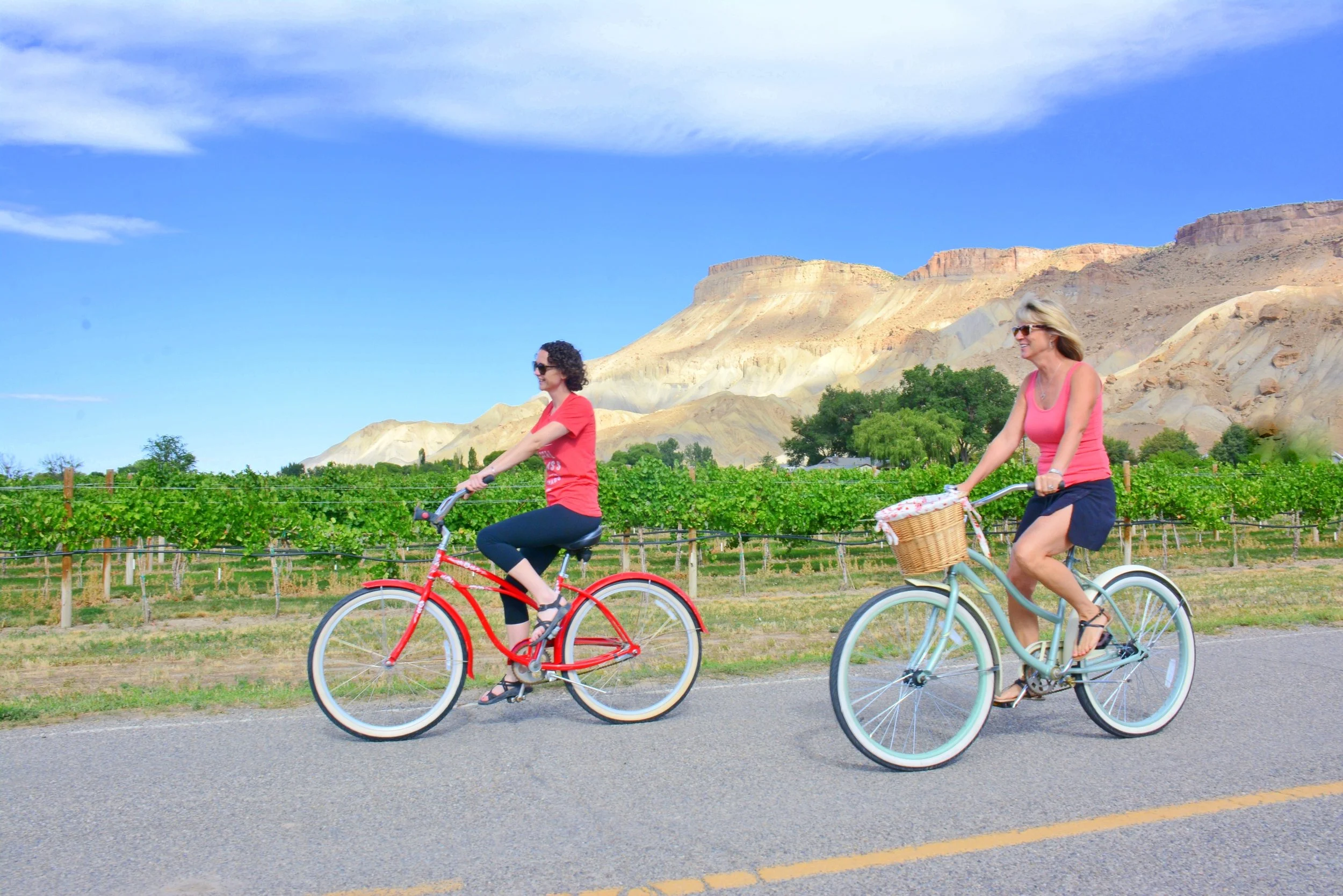 Visit Palisade, Colorado