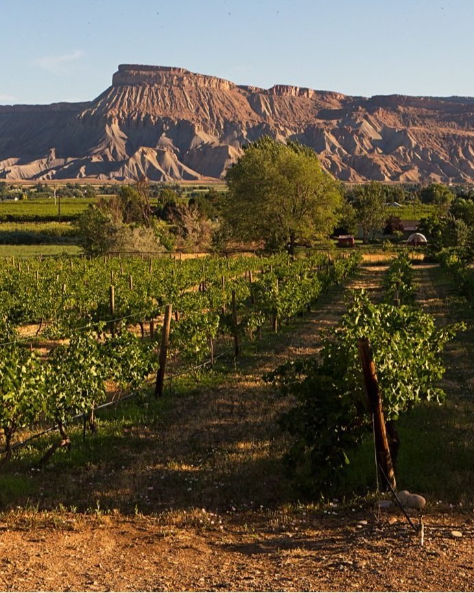 Wineries To Try — Palisade Colorado