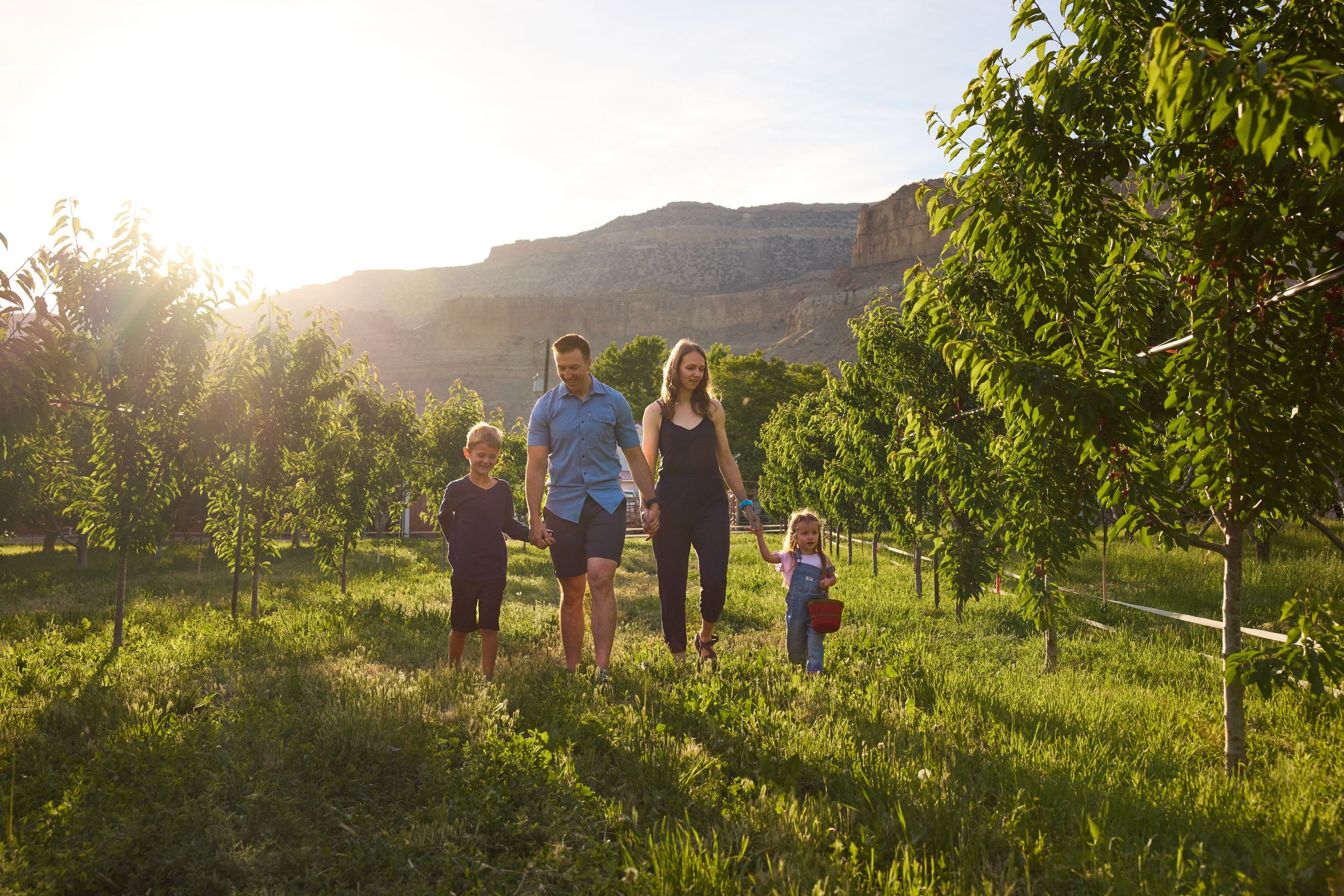 Visit Palisade, Colorado