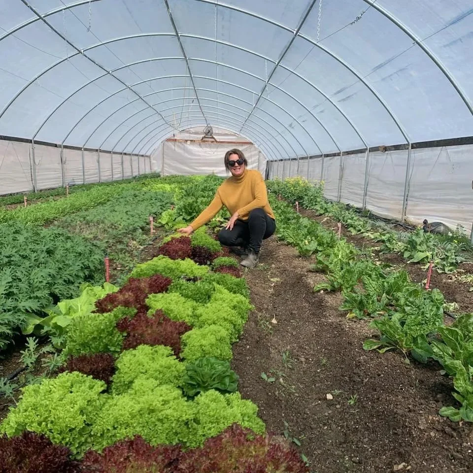 Orchards and Farms — Palisade Colorado