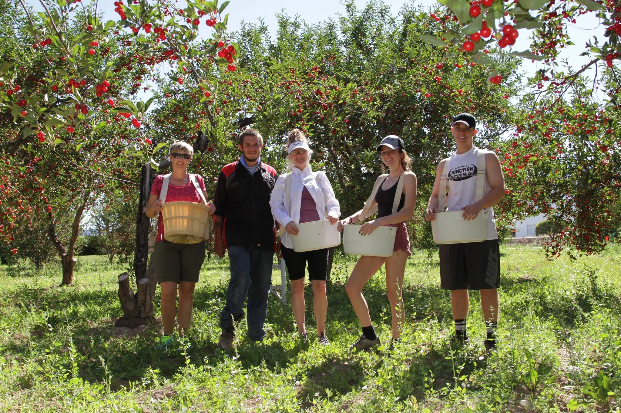 Orchards and Farms — Palisade Colorado