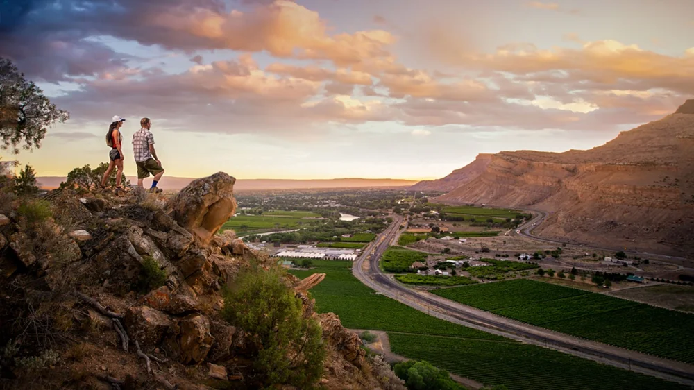 Visit Palisade, Colorado