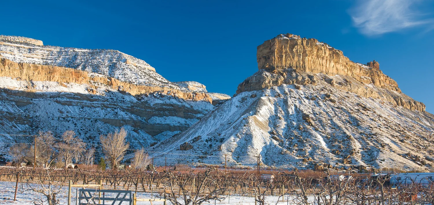 Visit Palisade, Colorado