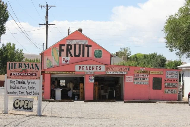 Orchards and Farms — Palisade Colorado