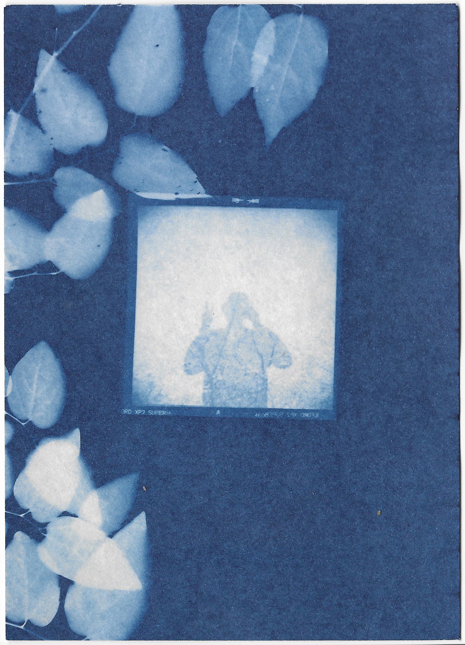 How to Create Cyanotypes from Holga Photographs - A Beginner’s Guide ...