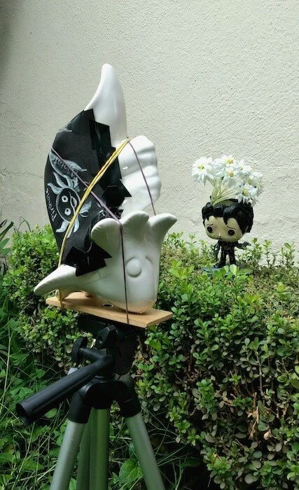 How to Make a Pinhole Camera with Household Items - DIY Guide — Victor ...