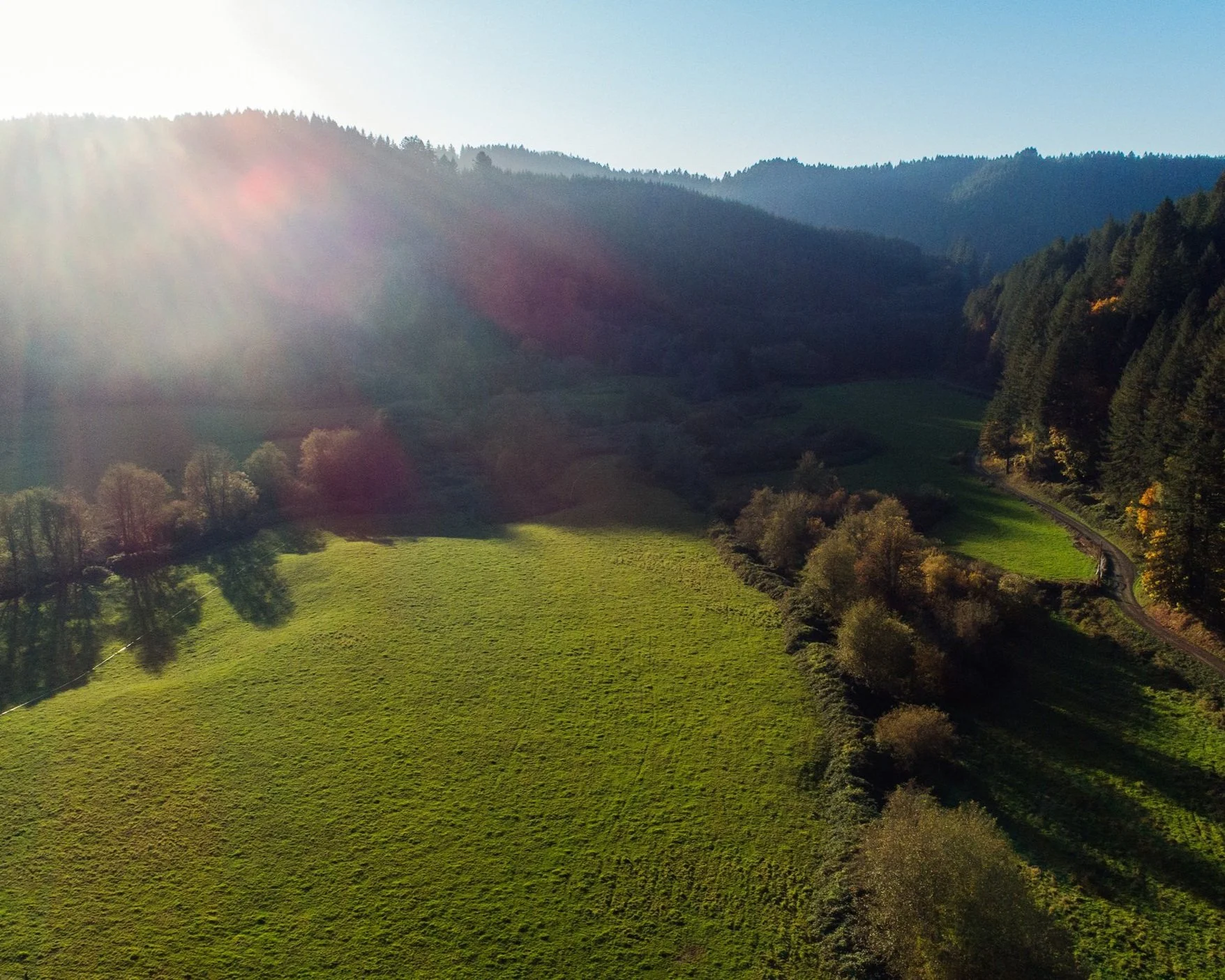 Backlander Farms | Grass Fed, Grass Finished Beef | Pastured Pork ...