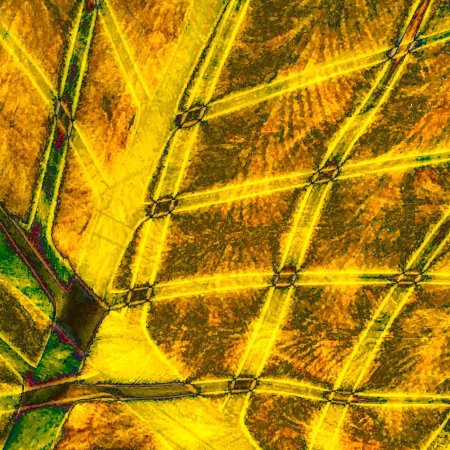 2024 Annual — CoCA Seattle