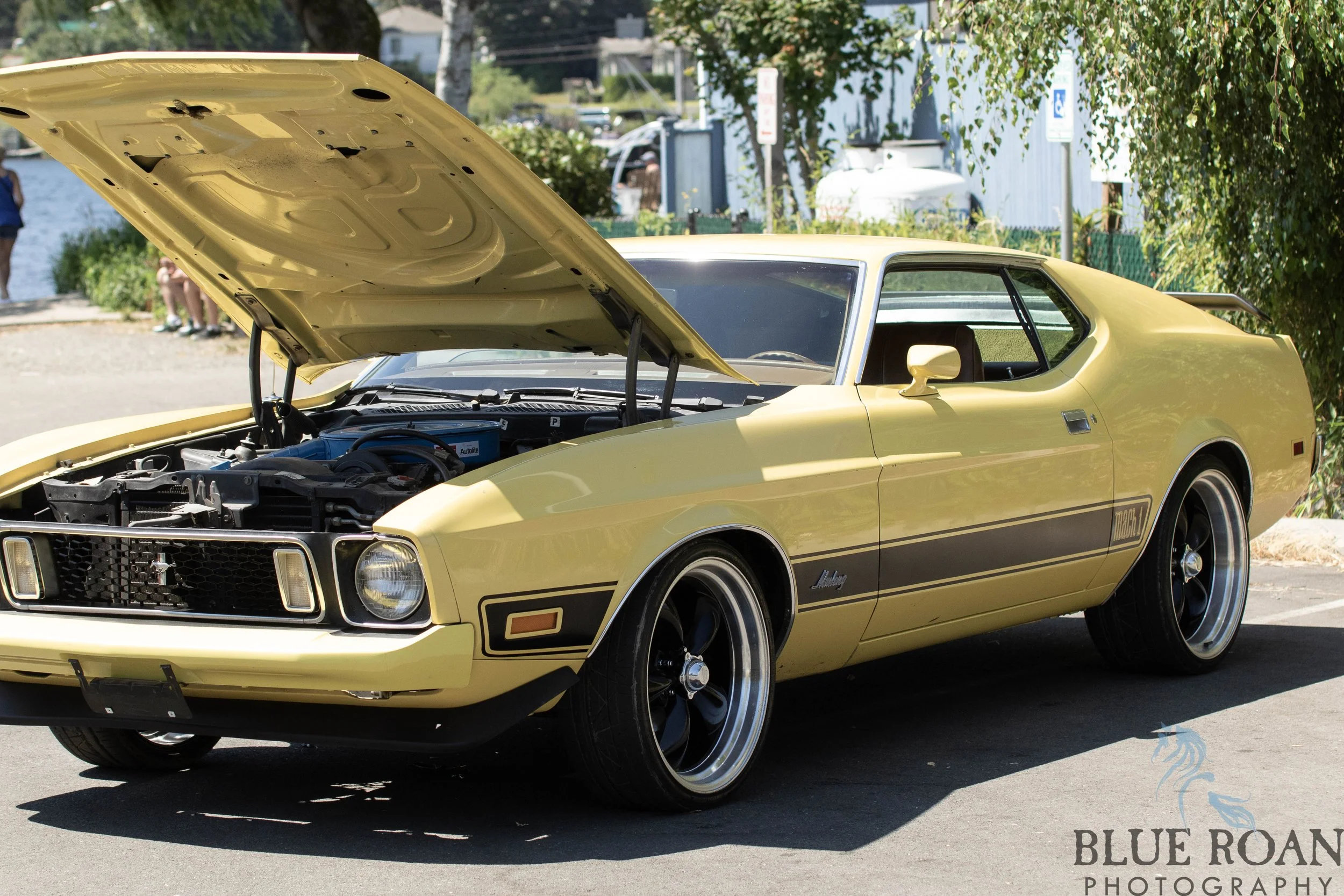 Car Show Aquafest