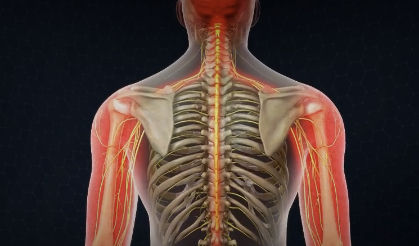 NorCal Pain Treatment Center