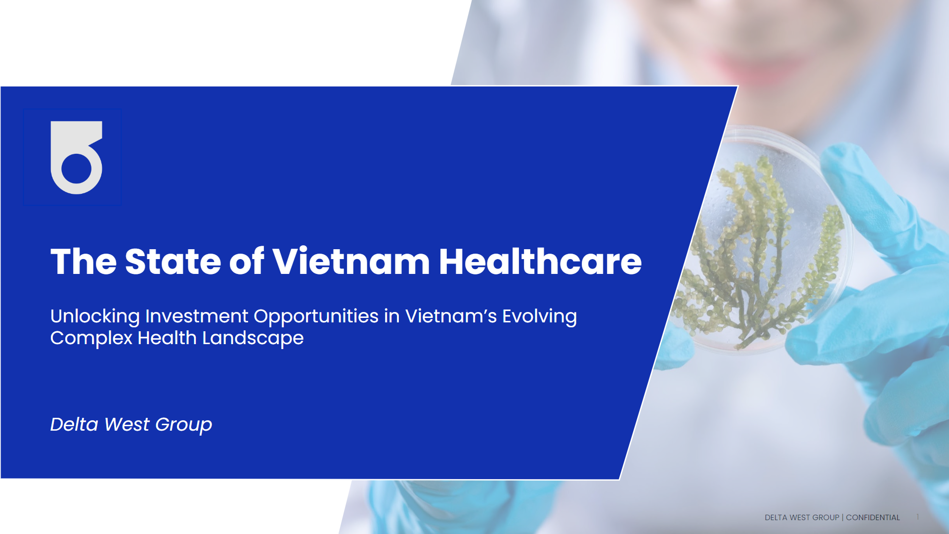 Capabilities — Delta West