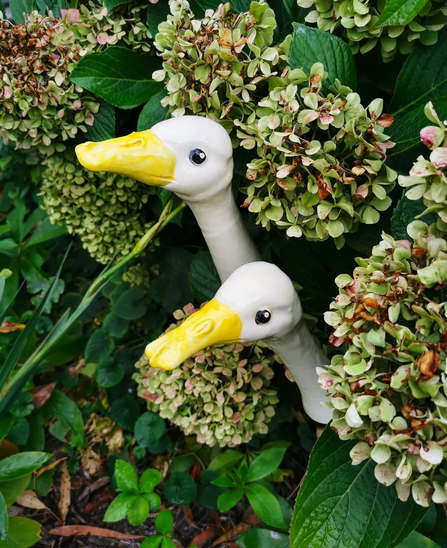 Really Useful Pots — SA Spring Garden Festival