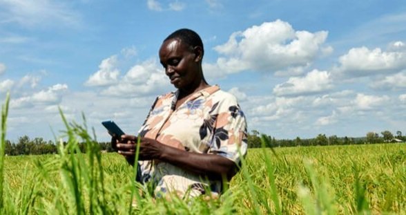 News — Apollo Agriculture