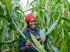 About us — Apollo Agriculture