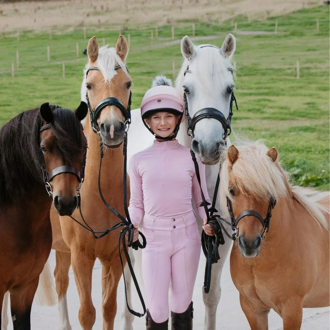 Royal Welsh Show: only 10 days to go — Wales Equestrian