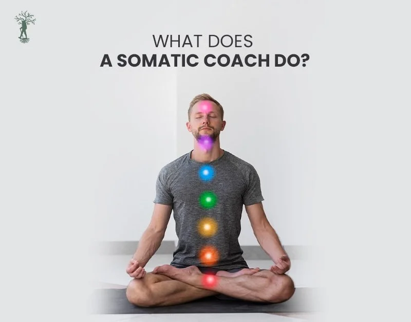 Everything You Need To Know About Somatic Coaching — Judy Fasone