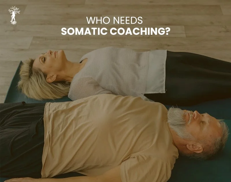 Everything You Need To Know About Somatic Coaching — Judy Fasone