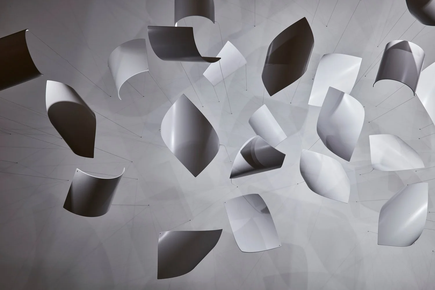 Light & Shade — Paul Cocksedge Studio