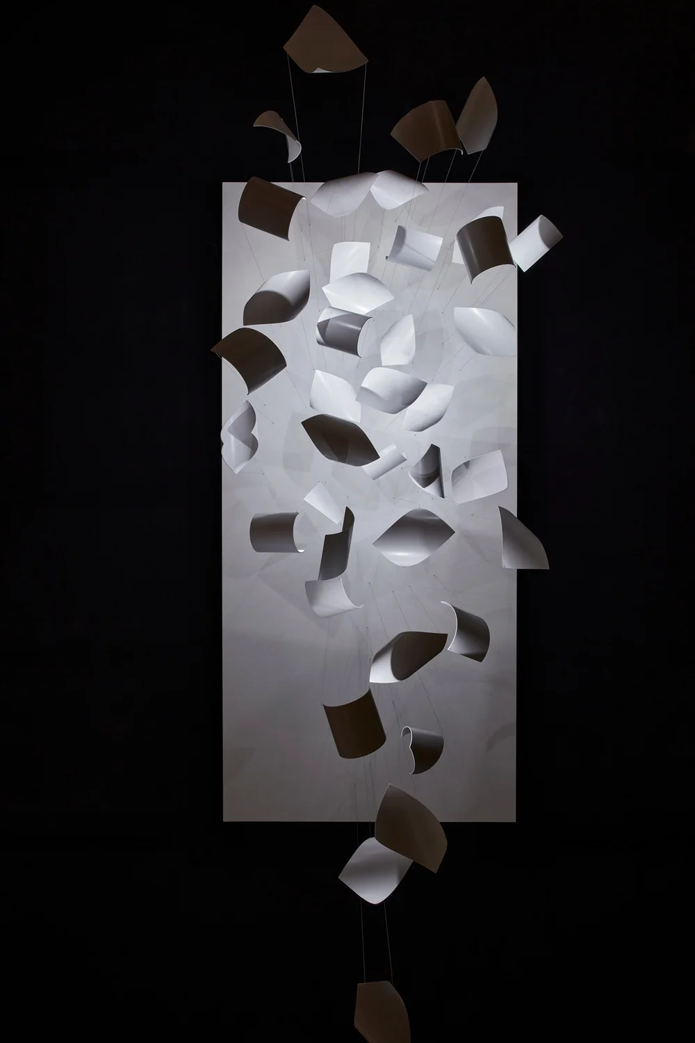 Light & Shade — Paul Cocksedge Studio