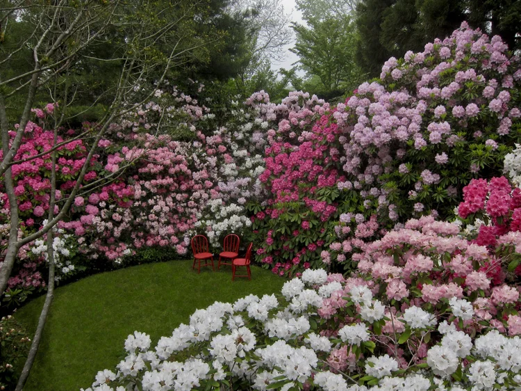 About — Sakonnet Garden