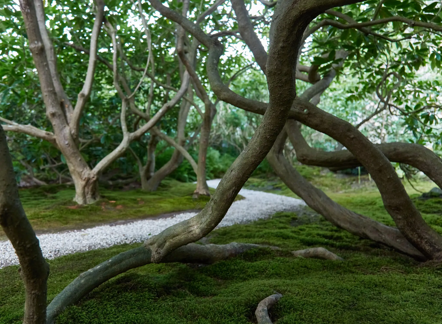 About — Sakonnet Garden