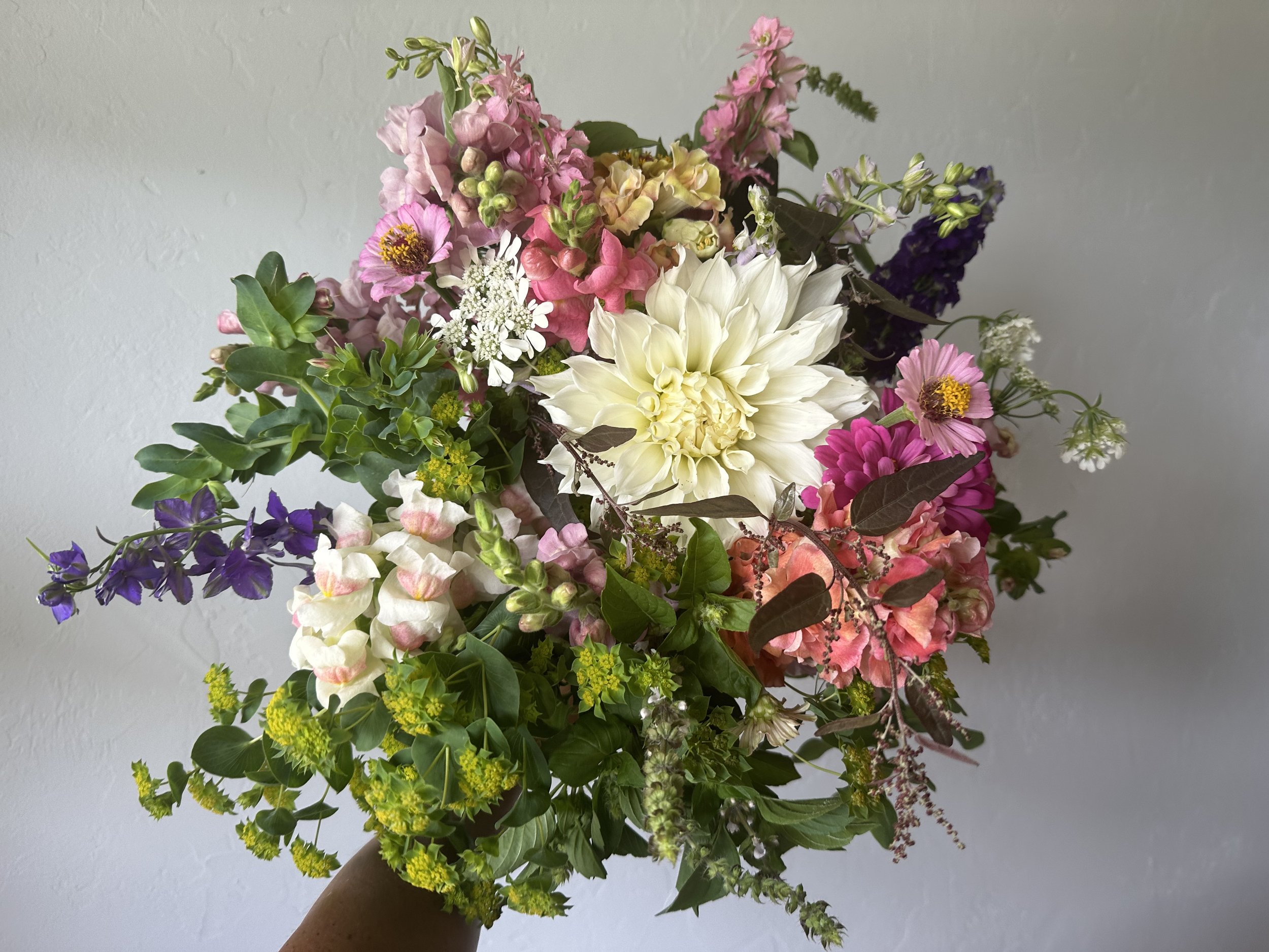 Felicity Flower Company