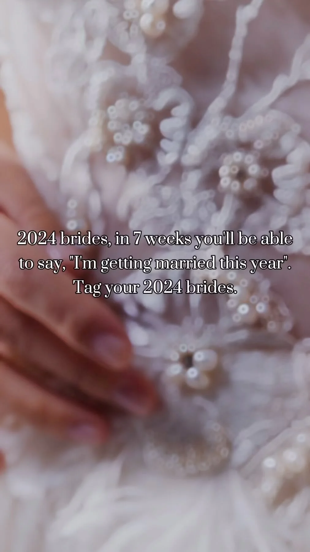 Plus Size — Diana's Bridal