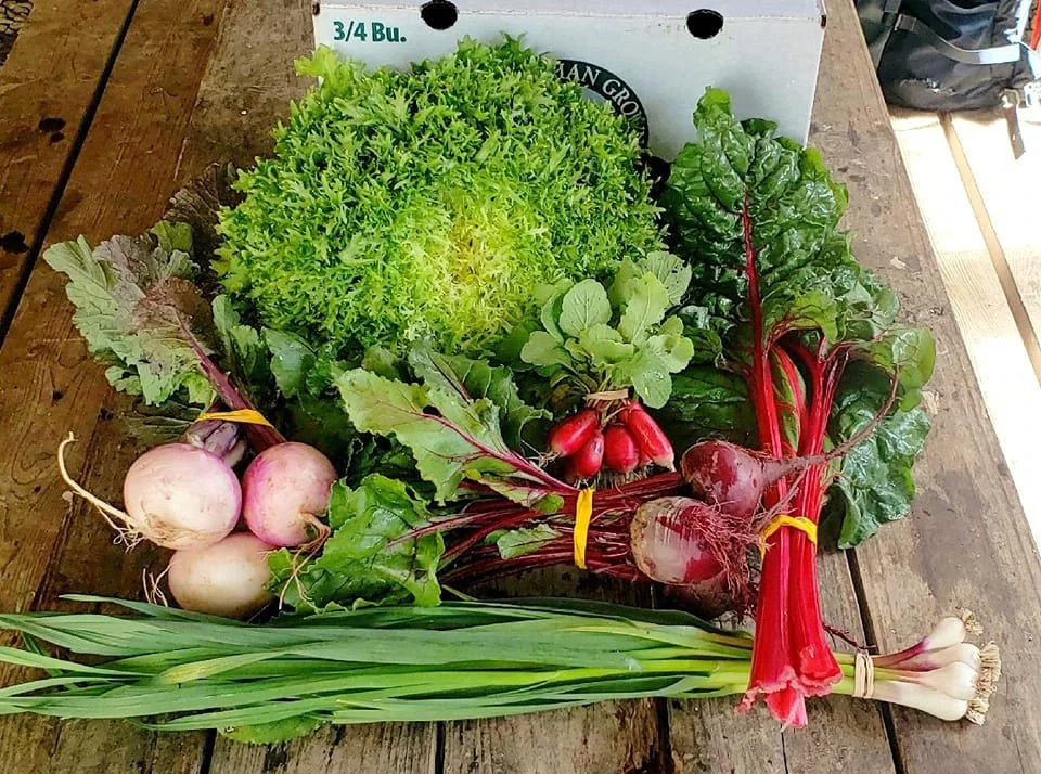 Highgate Farm | Organic Growers School