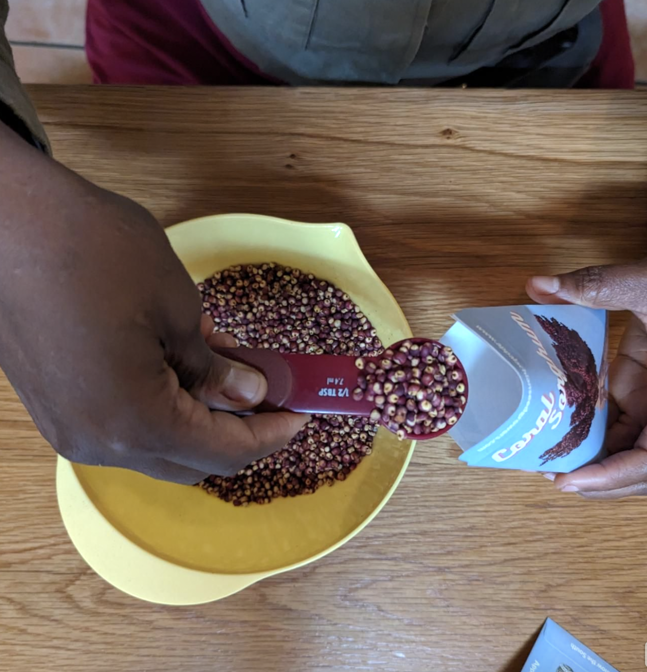 Saving Seeds & Setting Tables | Organic Growers School