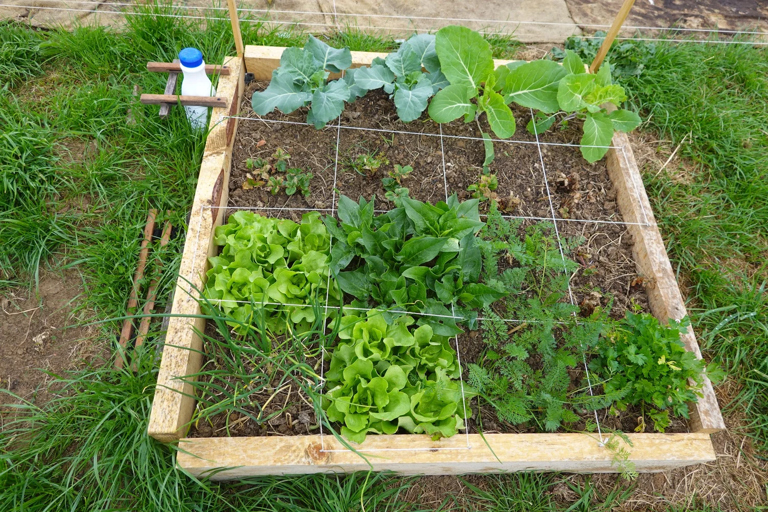 Ask OGS: Preparing Soil for a Spring Garden | Organic Growers School
