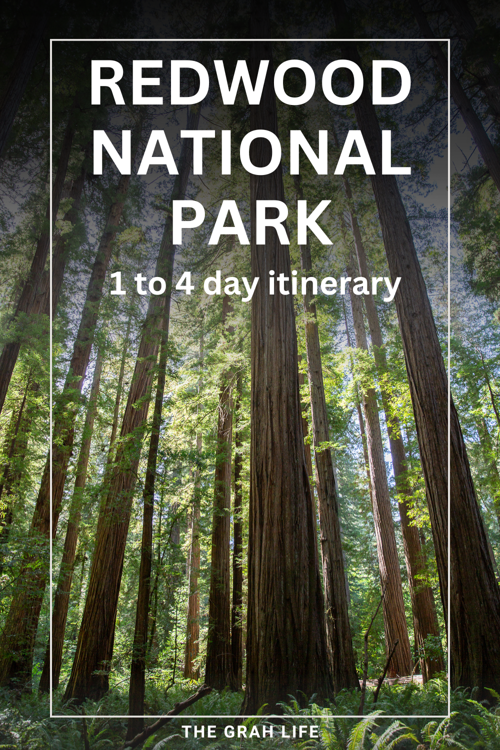 Redwood National Park 1 to 4 Day Itinerary — The Grah Life