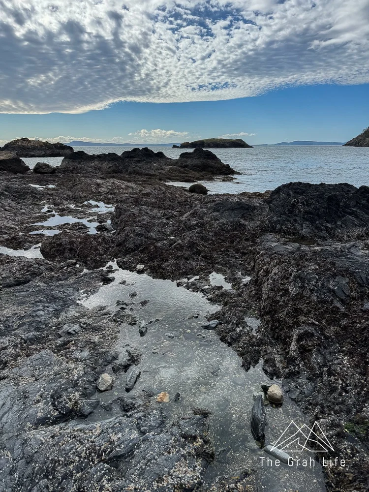 How to Tide Pool in the Pacific Northwest — The Grah Life