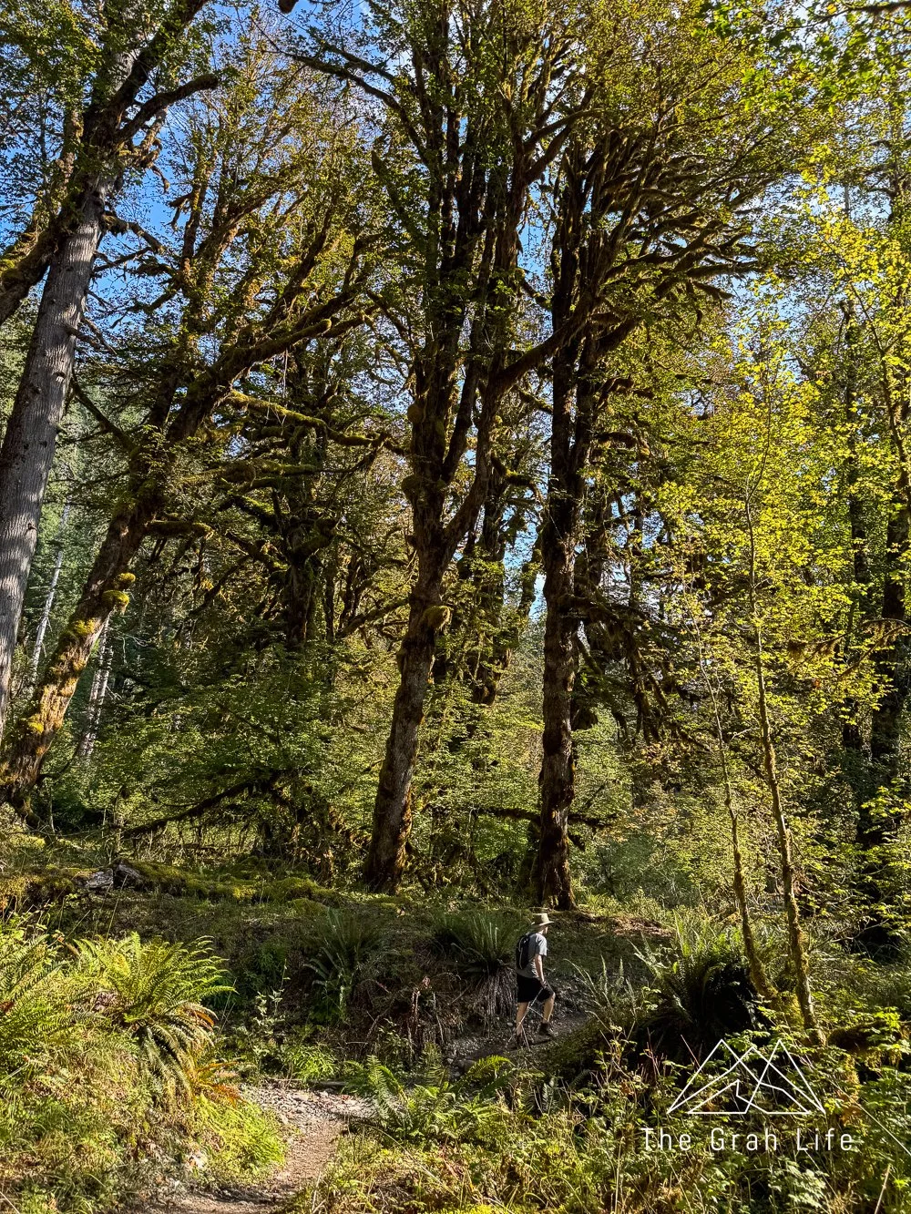 Enchanted Valley Backpacking — The Grah Life