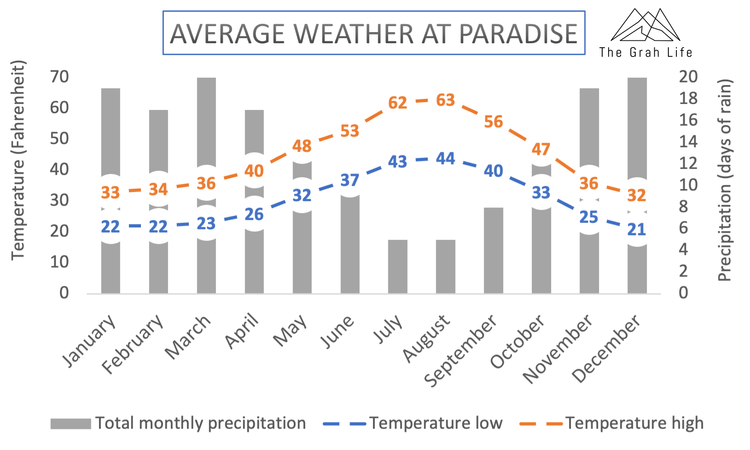 Mount Rainier National Park Itinerary (From Locals) — The Grah Life