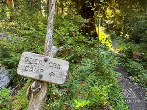 Enchanted Valley Backpacking — The Grah Life